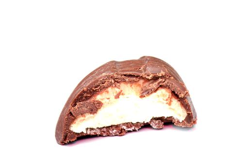 흰색 배경에 고립 된 초콜릿 사탕 맛 있는 송로 버섯 맛 있는 초콜릿 프랄린 절연 개념에 대한 스톡 사진 및 기타 이미지 개념 개념과 주제 경계 표지 Istock