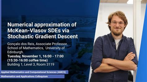 mckean vlasov sdes applied mathematics and computational sciences