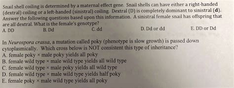 Solved Snail Shell Coiling Is Determined By A Maternal Chegg Com