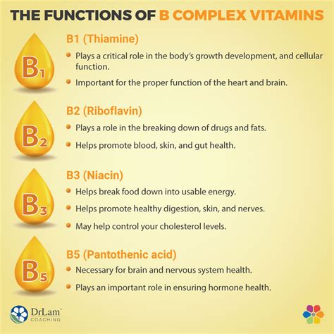 Can A B Complex Supplement Improve Your Overall Wellbeing
