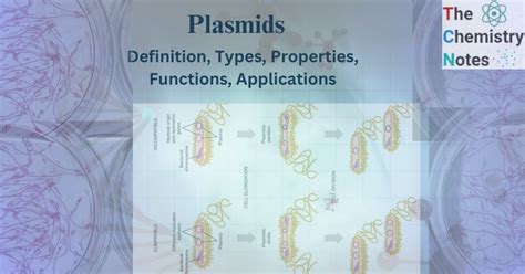 Plasmid Types Properties Functions Applications