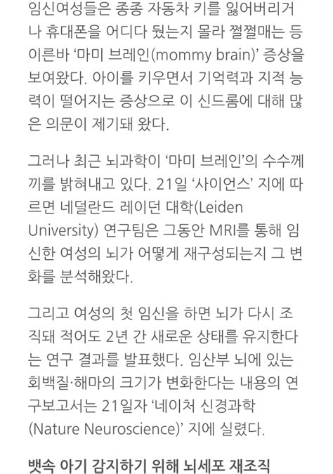 임신 여성의 뇌조직은 매우 다르다 회백질·해마 감소하고 태아 움직임에 민감 인스티즈instiz 이슈 카테고리