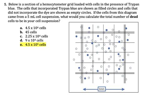 Solved 1 Below Is A Section Of A Hemocytometer Grid Loaded