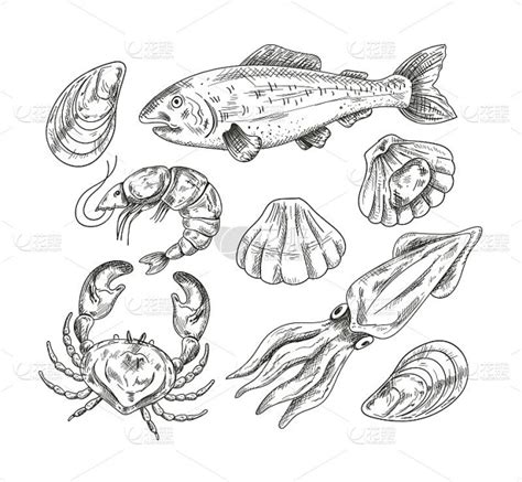 海鲜软体动物鲑鱼鱼虾贝壳螃蟹手draen铅笔素描孤立在白色背景设置矢量平面设计现代风格插图素材 花瓣网