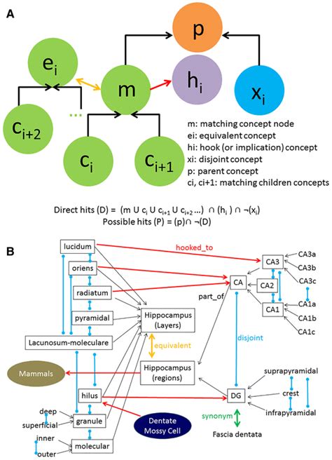 Logical Relations A Schematic Of The Ontological Links Between Download Scientific Diagram
