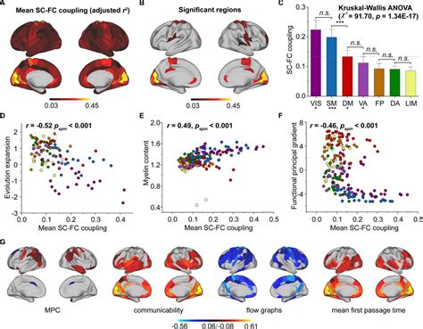Figures And Data In Spatial And Temporal Pattern Of Structurefunction