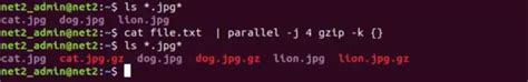 How To Execute Commands In Parallel In Linux