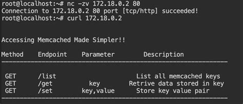 Getting Your Hands Dirty With Multi Container Architecture Setup