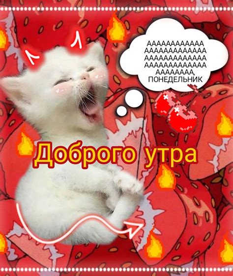 Доброго утра Доброе утро Мемы Милые тексты