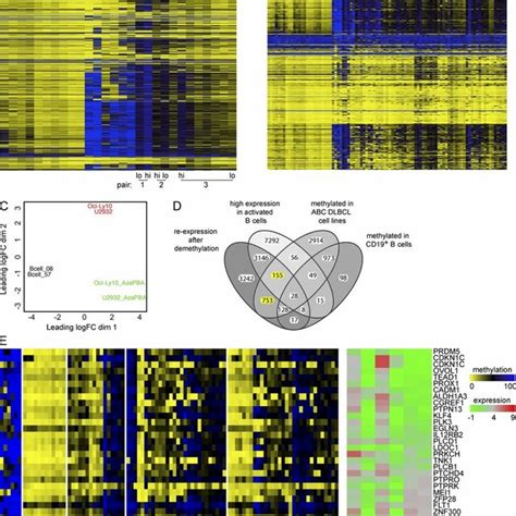Integration Of Dna Methylation And Rna Expression Profiles Identifies Download Scientific
