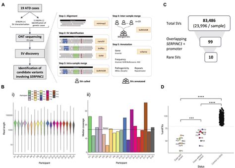 Long Read Sequencing Workflow And Results A Overview Of The General Download Scientific