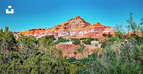 나무가 있는 붉은 바위 절벽 사진 Unsplash의 무료 협곡 이미지