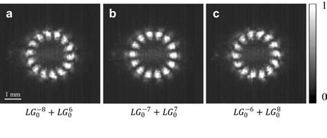 Jiachi Ye On Linkedin Multiplexed Orbital Angular Momentum Beams Demultiplexing Using Hybrid