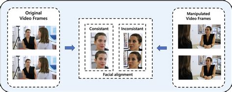 The Inconsistent Facial Feature Across The Manipulated Video Frames Download Scientific