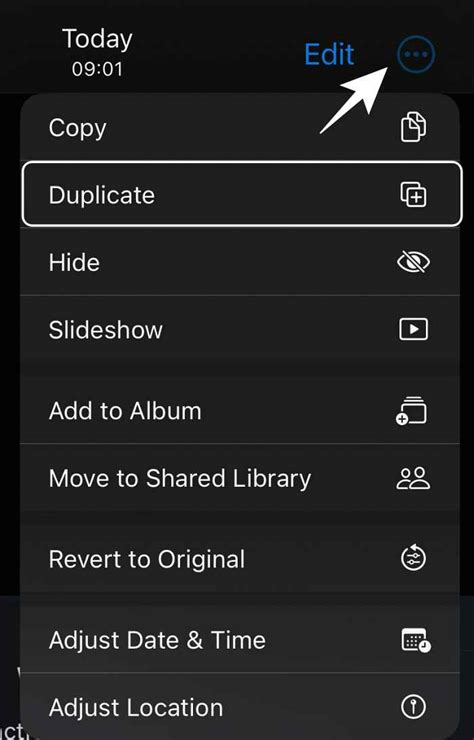 Duplicate Photo Option Missing In Ios 16 How To Fix Droidwin