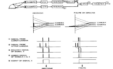 The Principle Of The Real Time Obstacle Detection The Video Signals Are Download Scientific