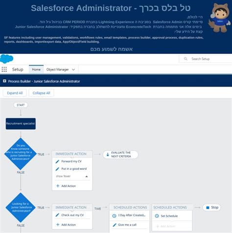 Tal Balas On Linkedin Looking For My Next Challenge 28 Comments