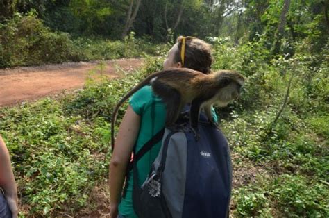 Pipi Doen Op Jana Zo Stout Foto Jana En Sylvia S Reisblog