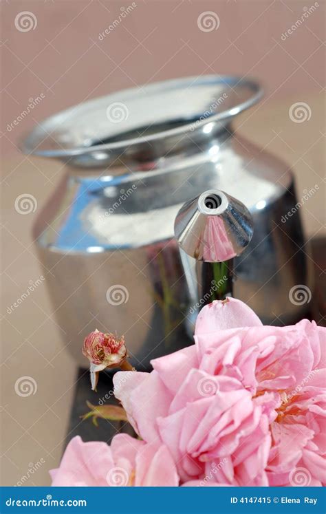 Neti Pot Stock Image Image Of Indian Health Herbal 4147415