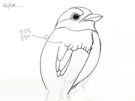 색칠공부 도안 가져가고~ 새 그리는 방법도 알고 네이버 블로그