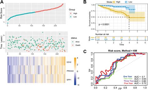 External Validation Of The LPC Related Prognostic Model In ICGC Download Scientific Diagram