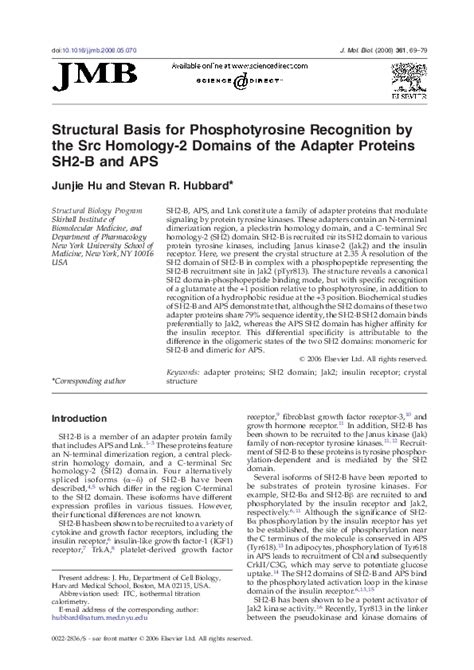 Pdf Structural Basis For Phosphotyrosine Recognition By The Src Homology 2 Domains Of The