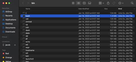 Is Bash Safe Is It A Virus Rmacos