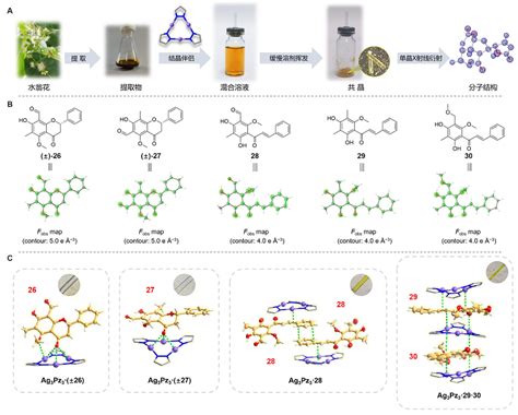 暨南大学李丹 叶文才团队合作chem：基于“结晶伴侣”的有机分子单晶结构表征新方法 X Mol资讯