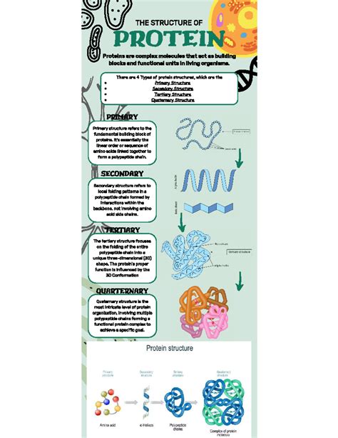 Mitosis Infographic In Green Blue Hand Drawn Style Copy Earth Life