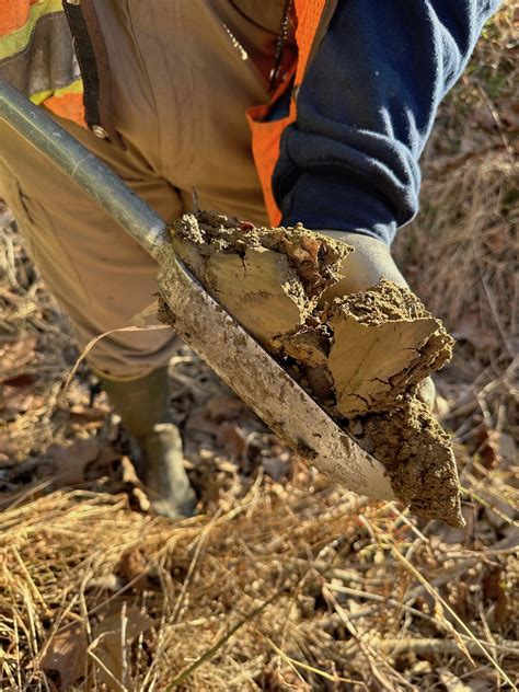 Wetland Delineation Study Buttonwood Nature Center