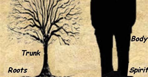 Life In The Key Of J Lessons From Trees Series