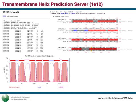 Ppt Cell Membrane Proteins Structures And Functions Powerpoint Presentation Id668637