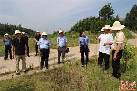 最高检督导评查汨罗市院公益诉讼工作 检察之窗 华声在线岳阳频道