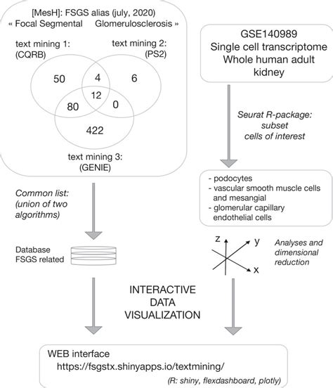 Figure 2 [diagram Of The Bioinformatics Process ] Bioinformatics Ncbi Bookshelf