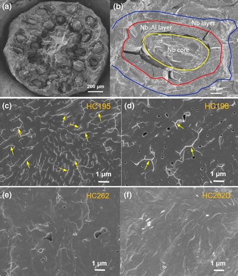 The Microstructure Pictures Of Nb3al Superconducting Wires A The Download Scientific Diagram