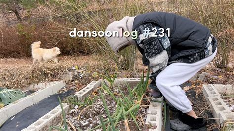 Sub단순로그231 한파에도 나 혼자 잘 사는 시골 산골vlog Youtube