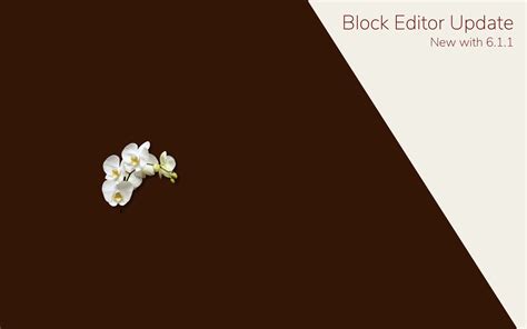 Wordpress 60 Reveals New Features For The Block Editor