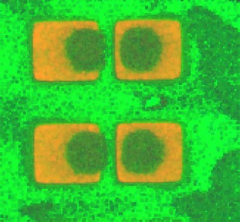 Image Under Hsv Space Download Scientific Diagram