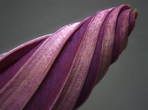 Jtl Managed Server Hosting Intares Ecommerce Hosting