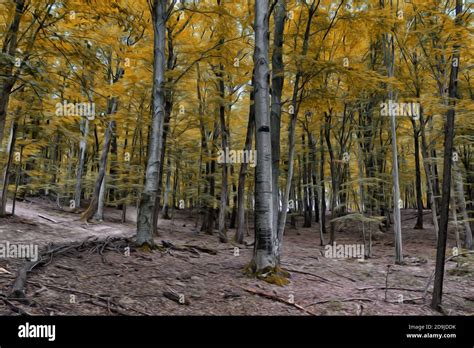 Trees In The Forest With Art Brush Filter Applied Stock Photo Alamy
