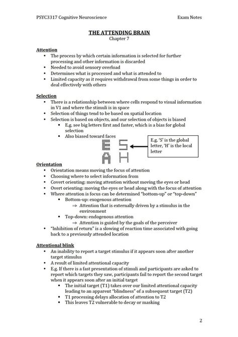 Cognitive Neuroscience Notes Psyc2217 Cognitive Neuroscience Uwa Thinkswap