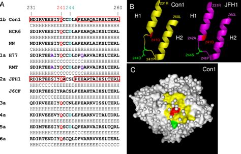 Sphingomyelin Binding Domain Sbd Of Hcv Rna Polymerase A The Sbds Download Scientific