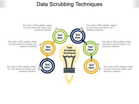 Data Scrubbing Techniques Ppt Powerpoint Presentation Pictures Show Cpb Pdf