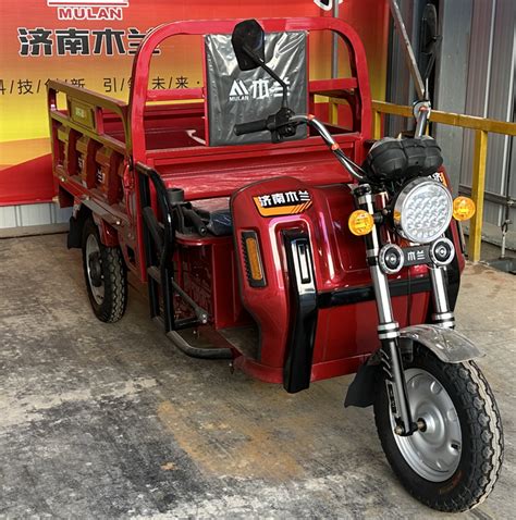 60v 큰 전력을 가진 전기 세발 자전거 의 고품질 60v 큰 전력을 가진 전기 세발 자전거