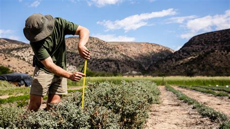 A Quick Start Guide To Monitoring Evaluation And Learning For Holistic Landscape Restoration