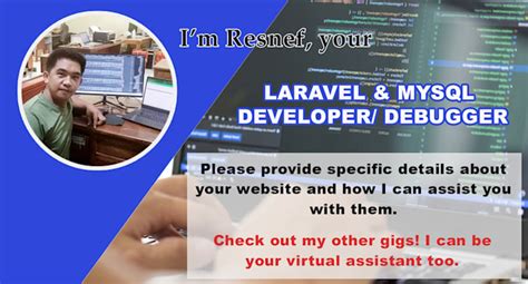 fix minor errors or bugs on your laravel mysql website by resnef fiverr