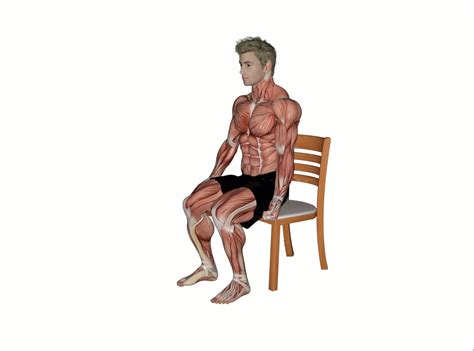 Bicep Curl Your Fitness Success