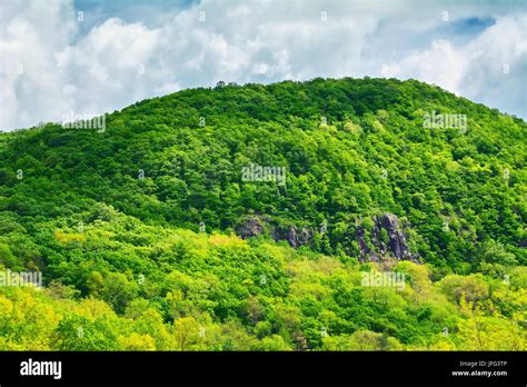 One green hill hi-res stock photography and images - Alamy