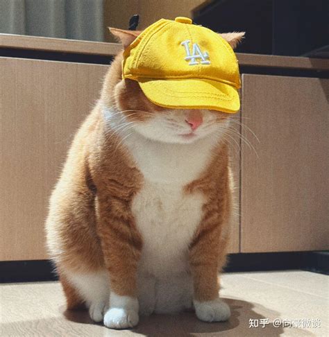 学习累的话该怎么办 知乎
