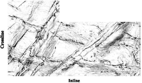 The Amplitude Attribute Of The Lzb Prestack Seismic Data Download Scientific Diagram